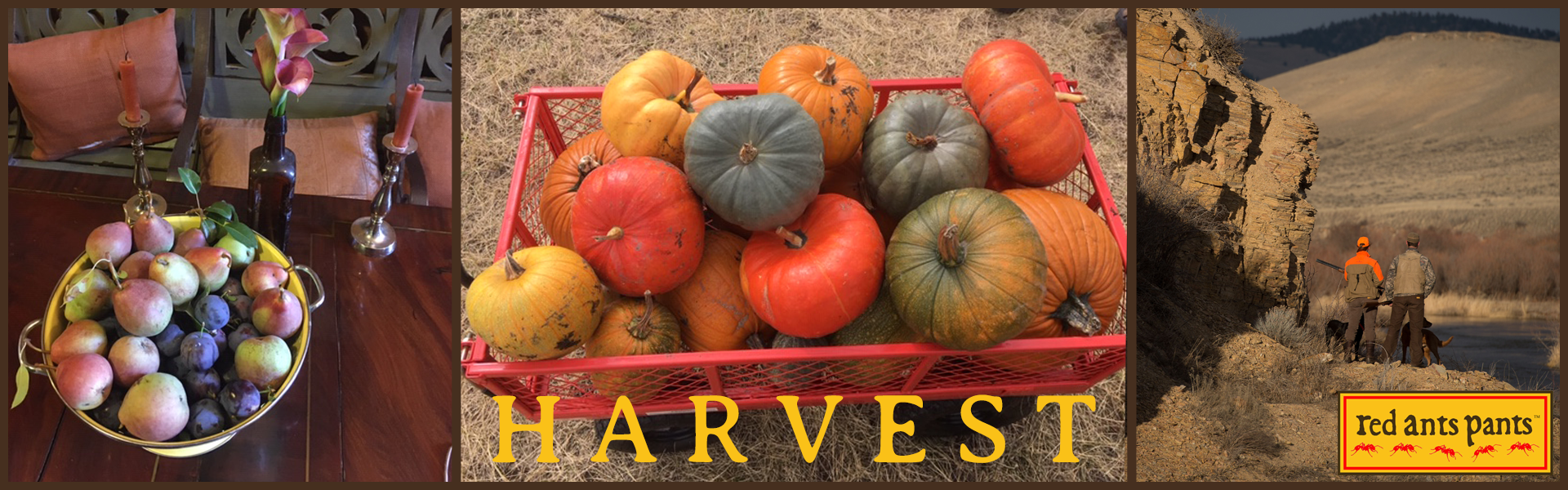 Harvest – Red Ants Pants