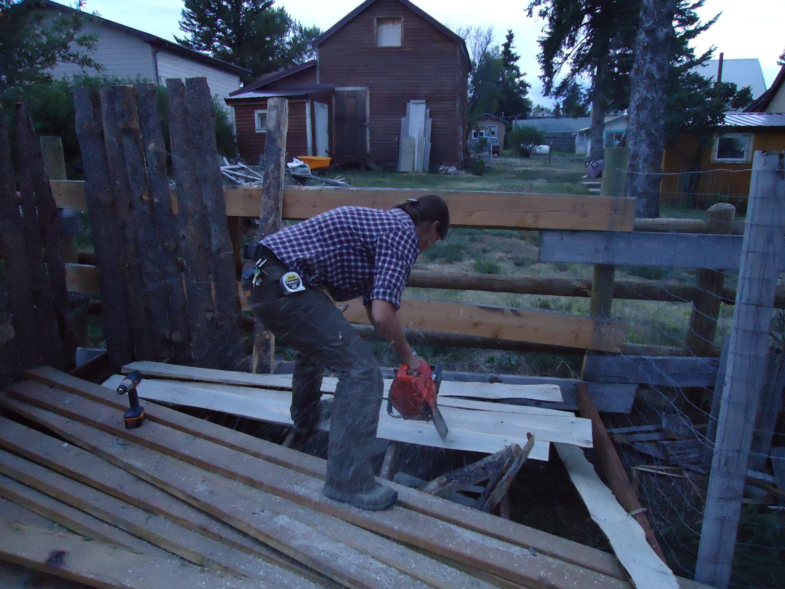 Backyard Excitement – Red Ants Pants