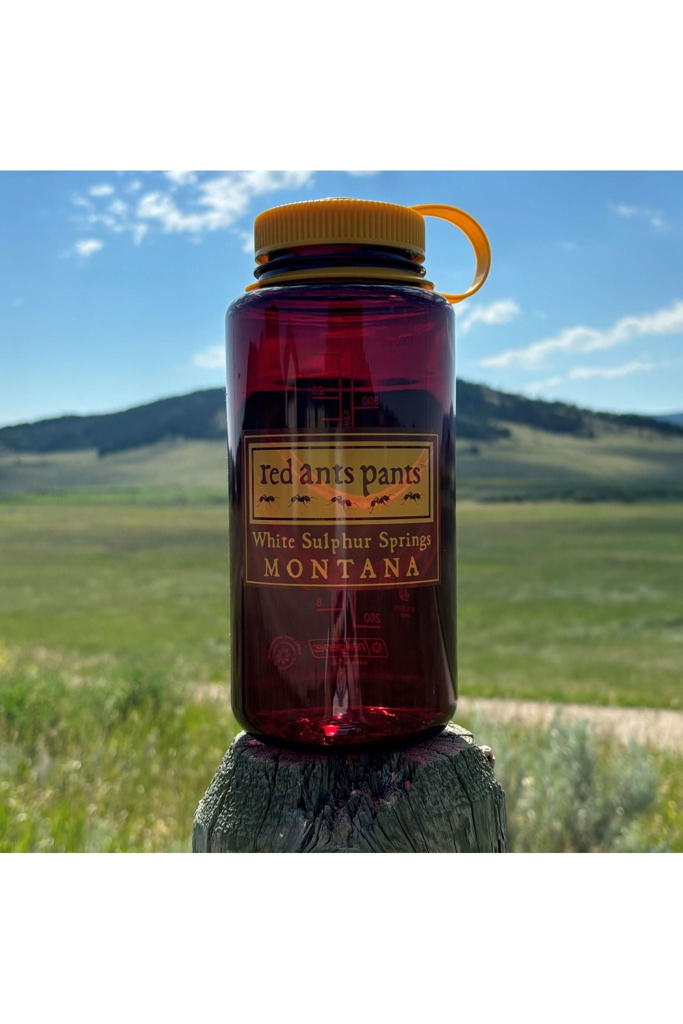 Nalgene Water Bottle – Red Ants Pants